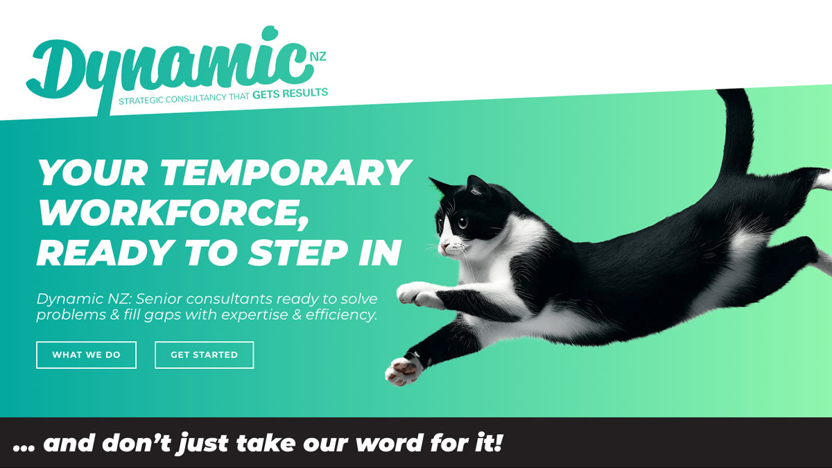 Dynamic NZ | A Strategic Consultancy that gets results